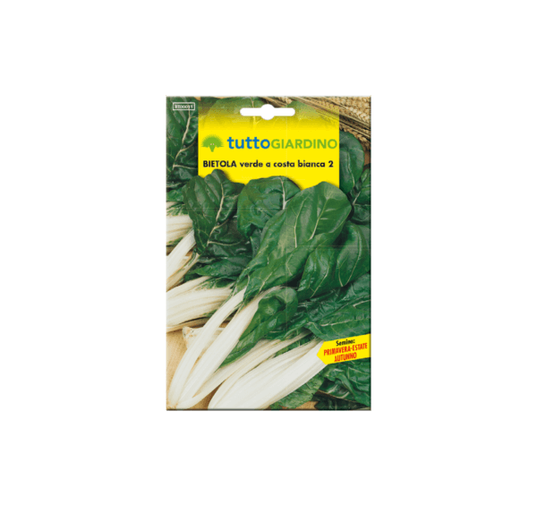 Bietola verde a coste bianche 2 tuttoGIARDINO - tuttoGIARDINO